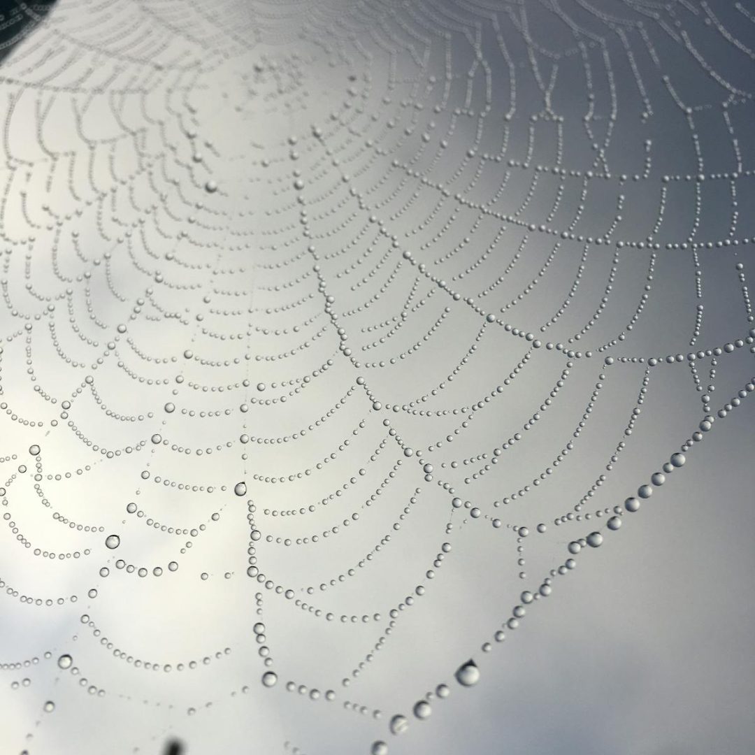 Seety App – Seetyapp – Naviguez sur le Net, Britannique!